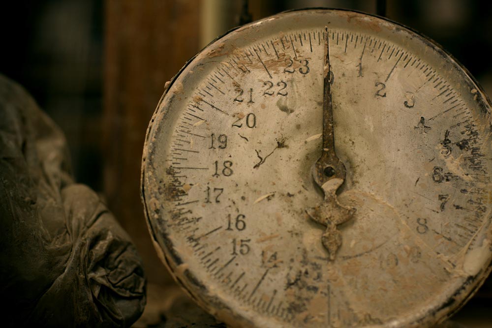 Do These New Lungs Make Me Look Fat? | Streetlight Magazine